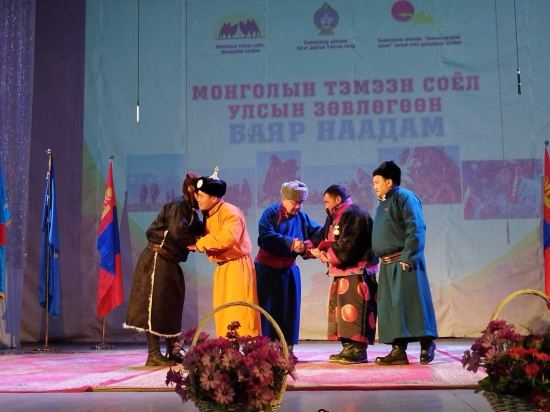 Монголын анхны хурдан тэмээний алдарт уяач Өмнөговь аймгаас төржээ